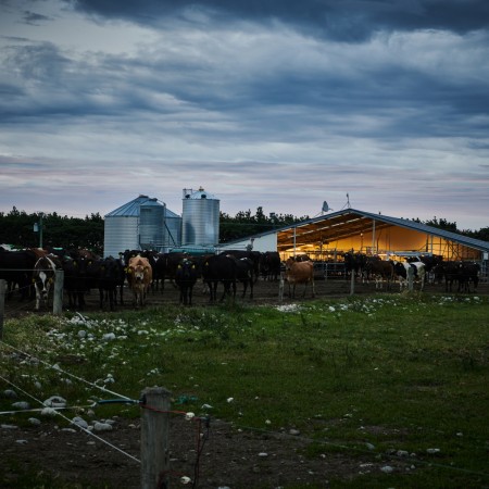 Moving farm? Take your energy with you | Meridian Energy | Meridian Energy